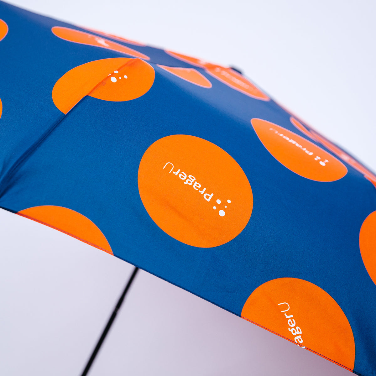 PragerU Logo Umbrella